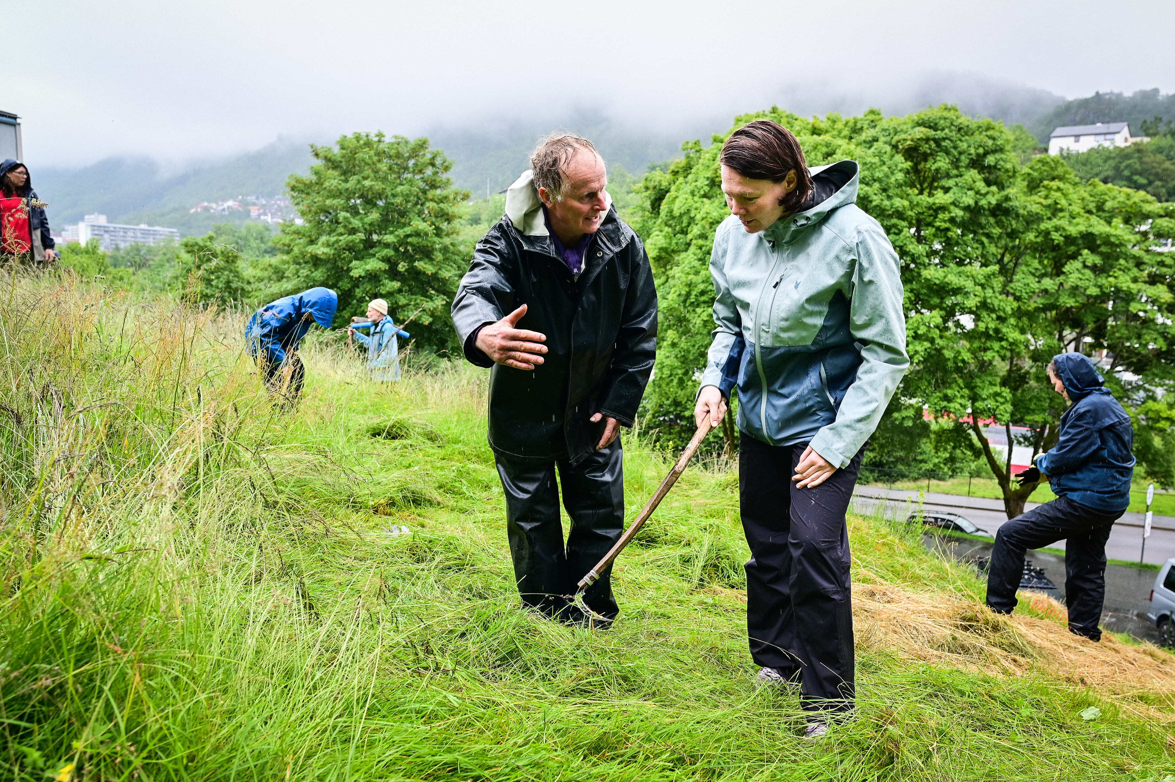 På Slettebakken tar de bondelandet tilbake